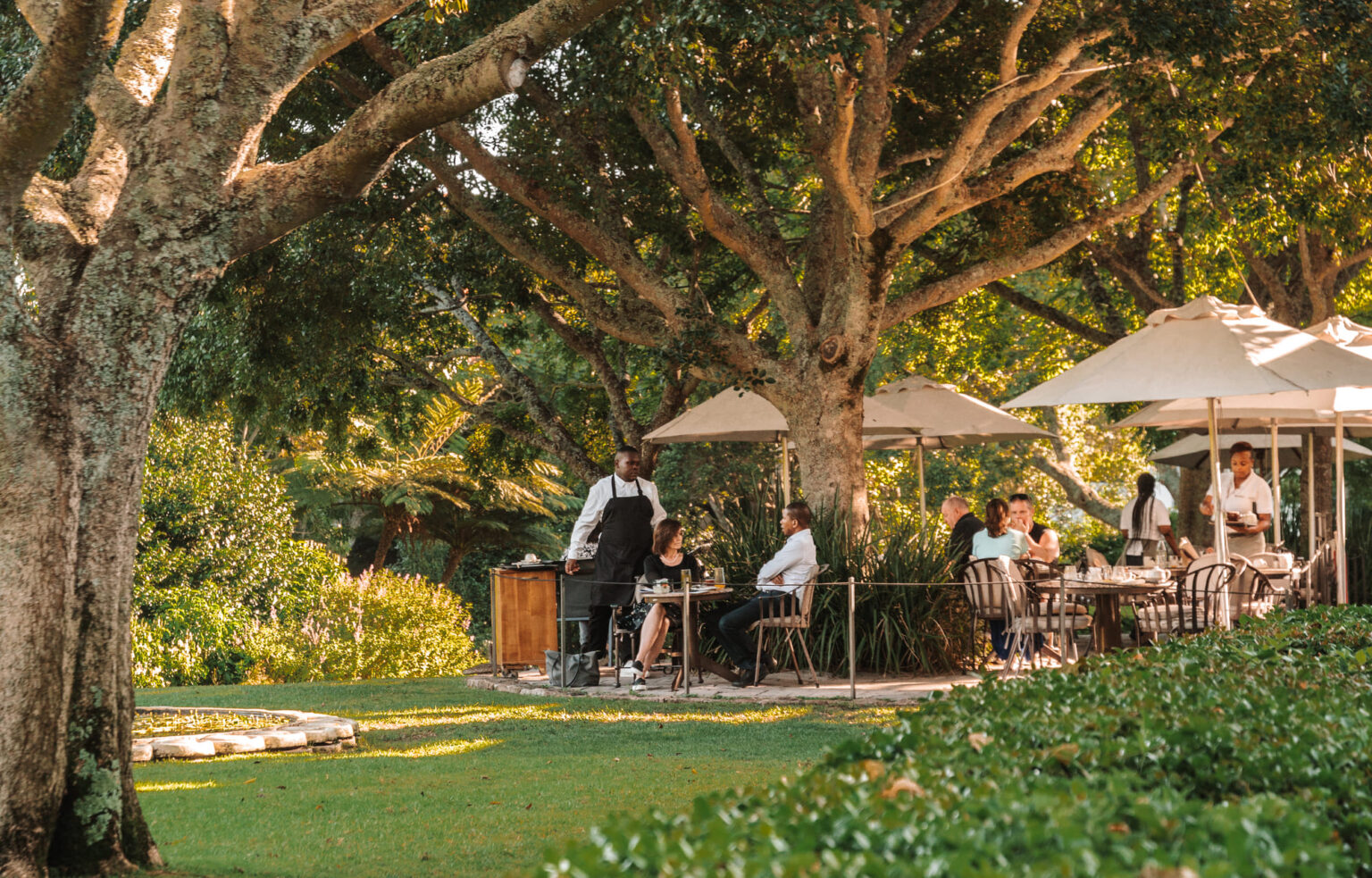 Eat at the Vineyard Hotel | Restaurants in Newlands, Cape Town