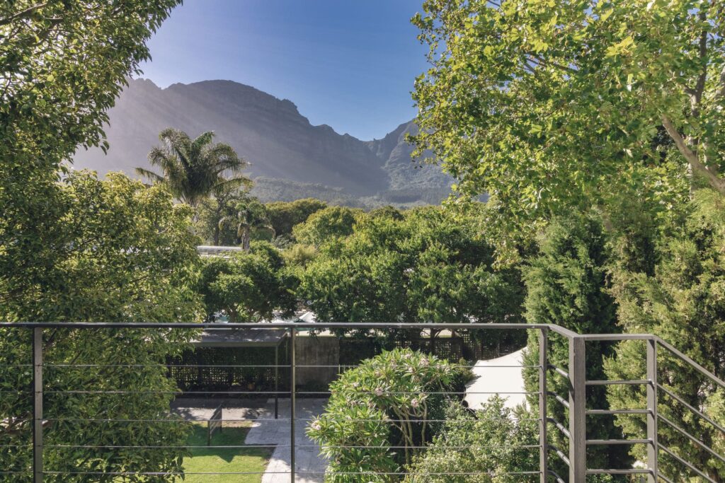 Morii Restaurant | Cape Town Restaurant | Vineyard Hotel